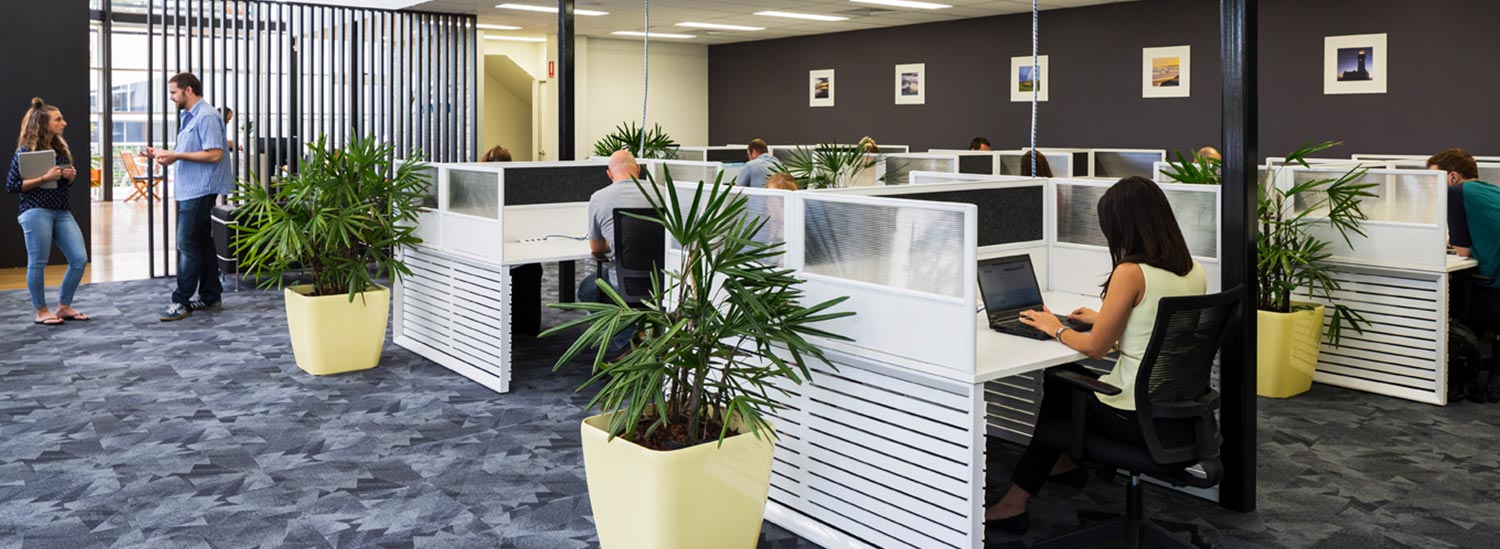 Central Coast Smart Work Hub saving workers dozens of hours commuting ...